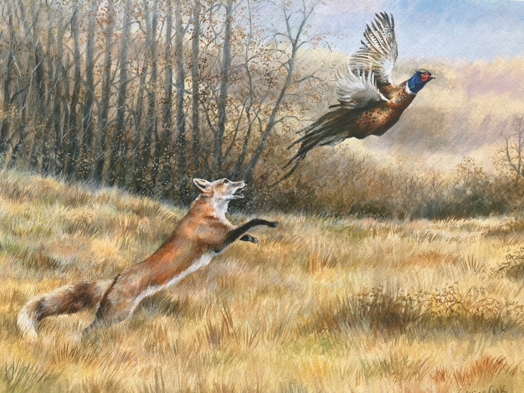 Fox and Pheasant Limited Edition Print "a Near Miss" Wildlife Picture ...