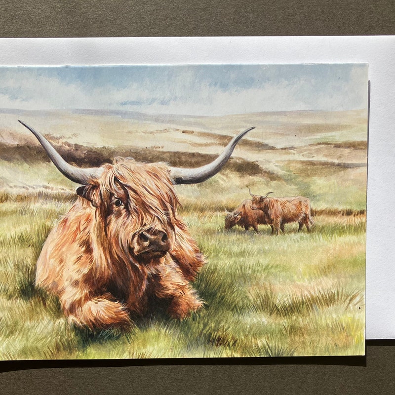 Highland Cattle Art - Etsy