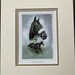 Horse Art Print "valegro and Charlotte Dujardin Signed Equestrian Print ...