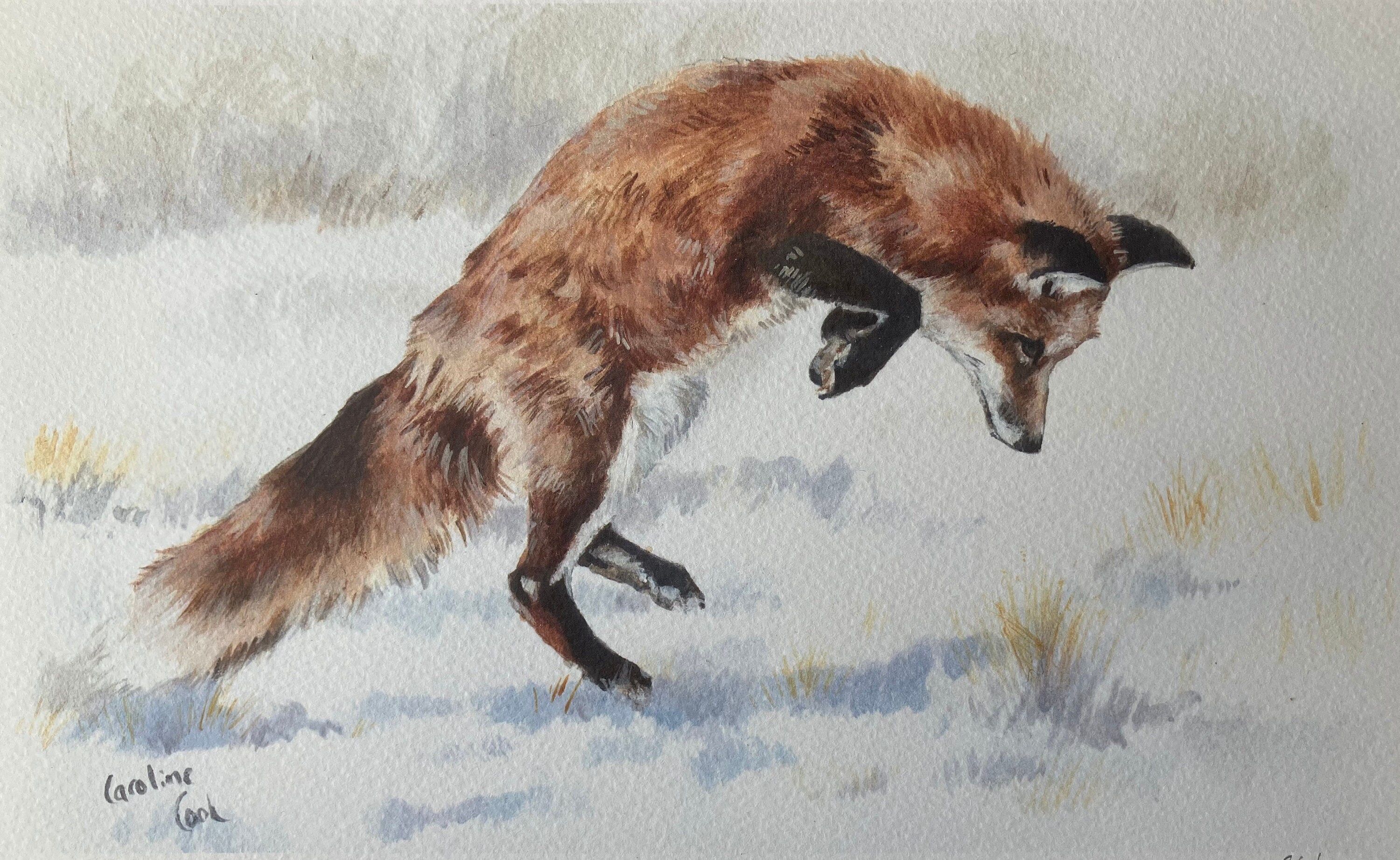 Fox Art Print pounce Red Fox in Snow Picture - Etsy