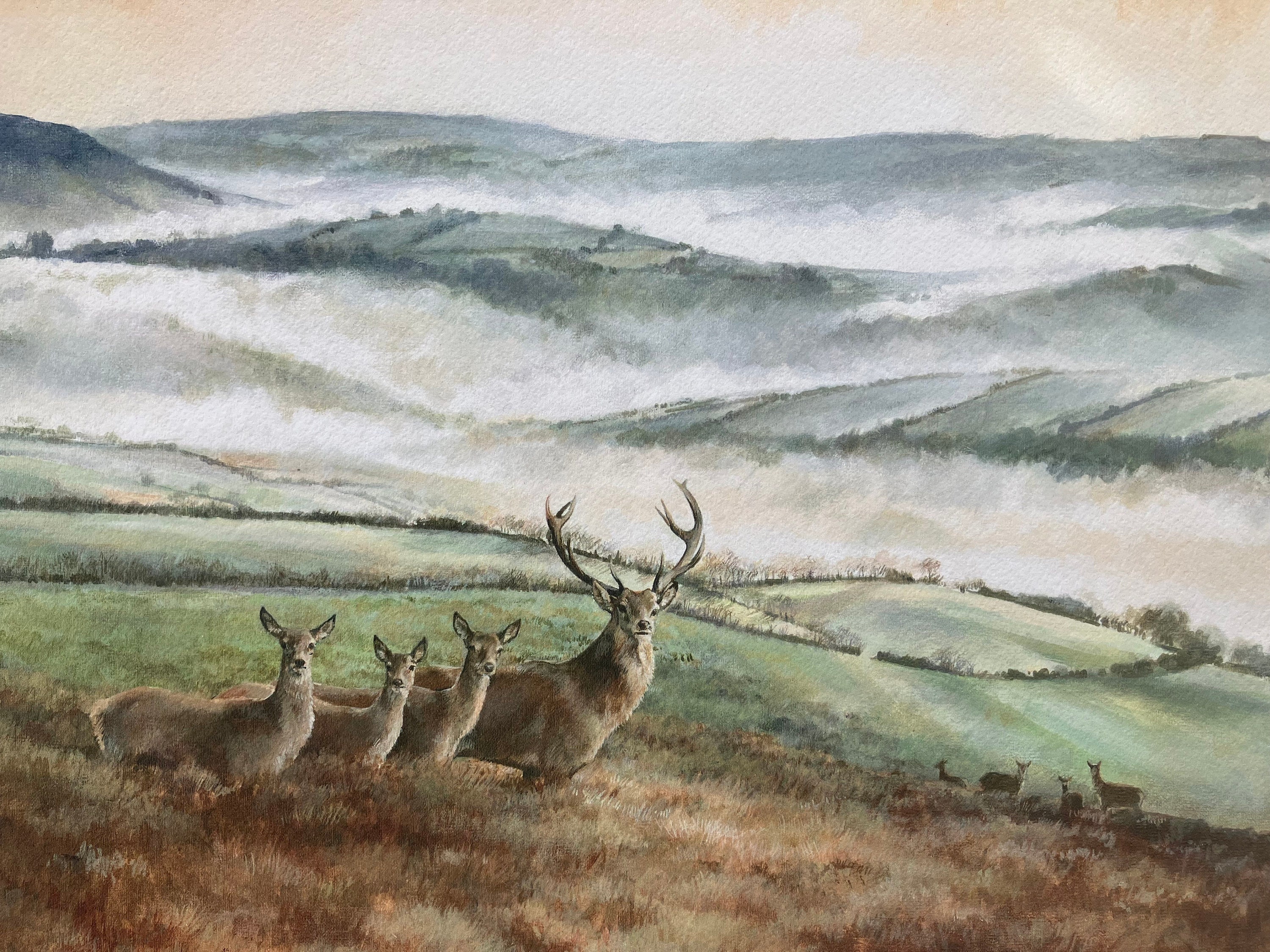 Stag Print. Red Deer on Exmoor "first Light Exmoor" - Etsy