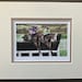 Horse Racing Print "frankel" Signed Limited Edition - Etsy