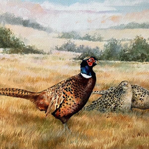 Pheasant Art - Etsy