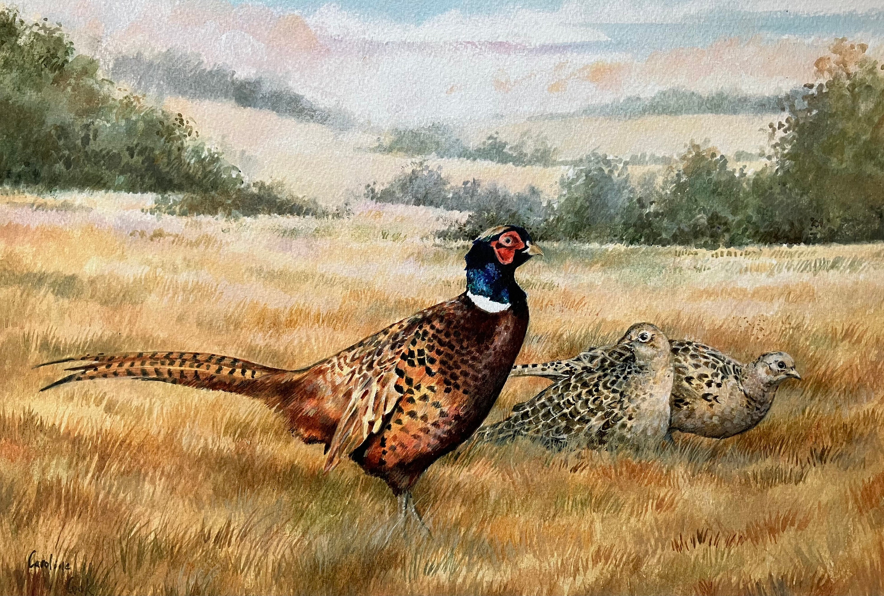 Pheasant Art Print September Pheasants. - Etsy