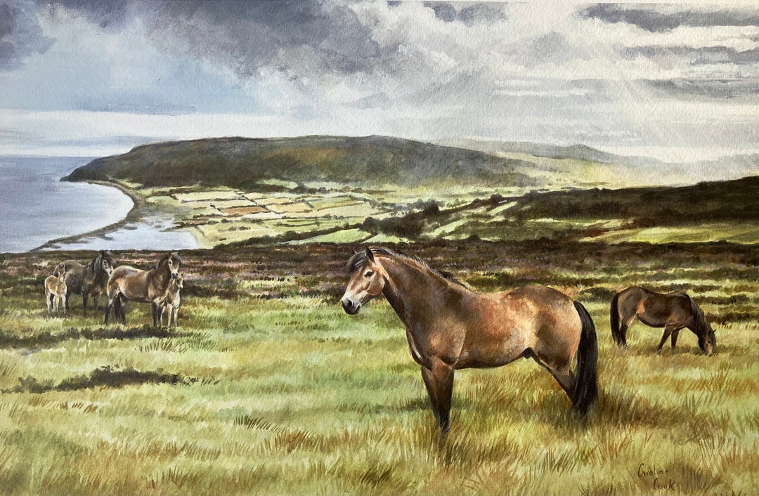 Exmoor Ponies at Porlock, Exmoor. Ponies in an Exmoor Landscape ...