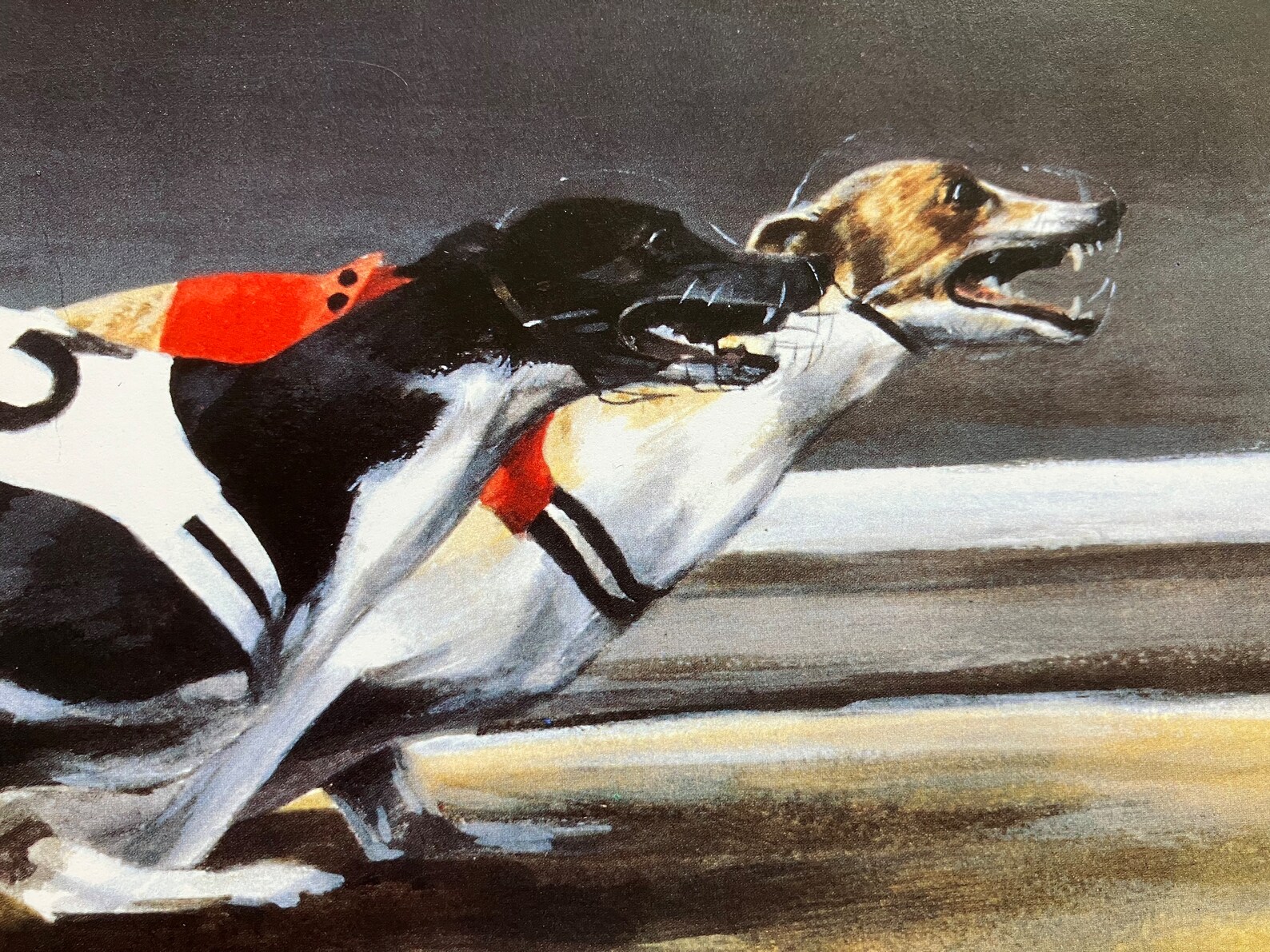 Greyhound Racing Print "speed Kings" Limited Edition Print of Racing ...