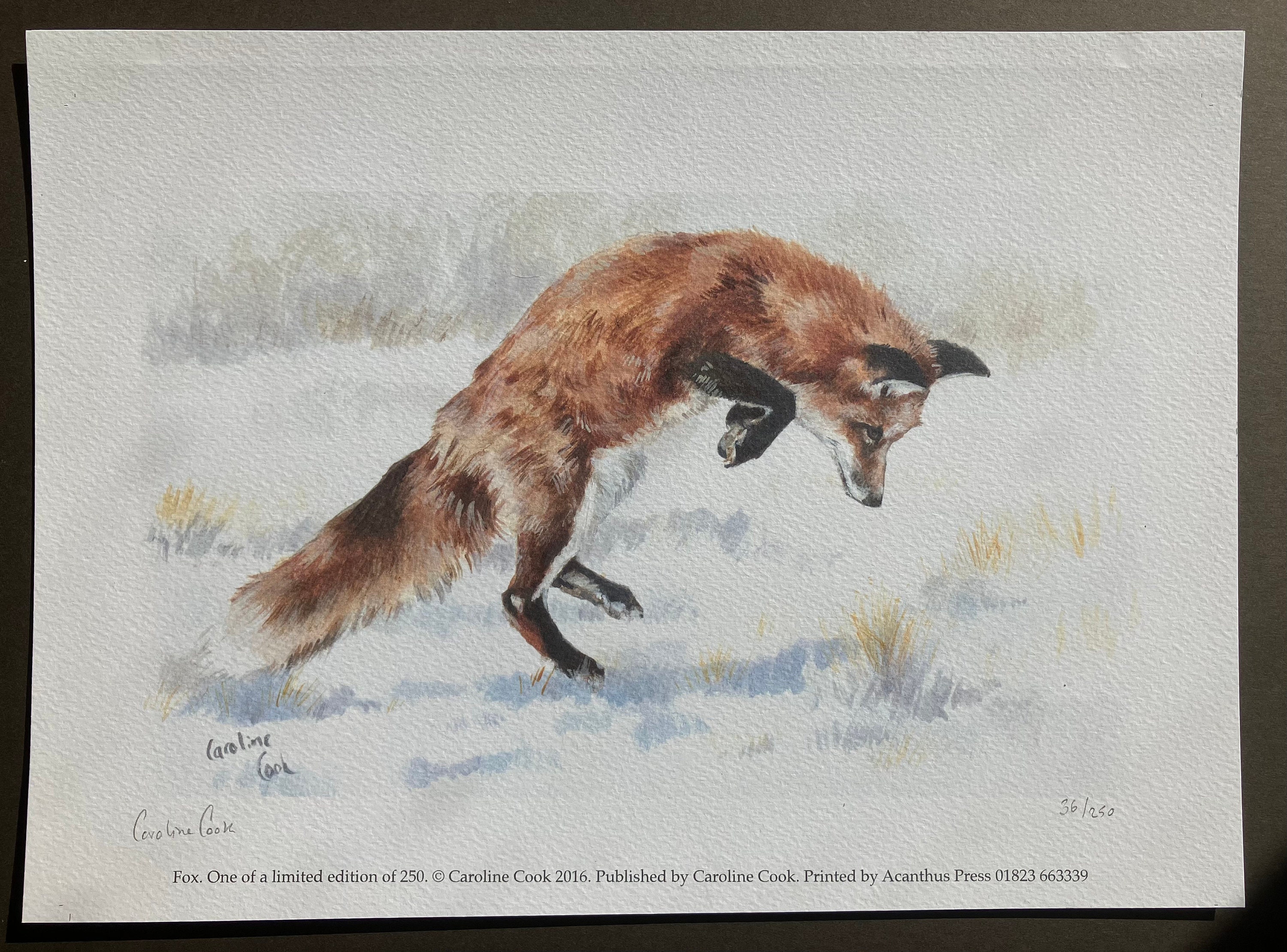 Fox Art Print pounce Red Fox in Snow Picture - Etsy