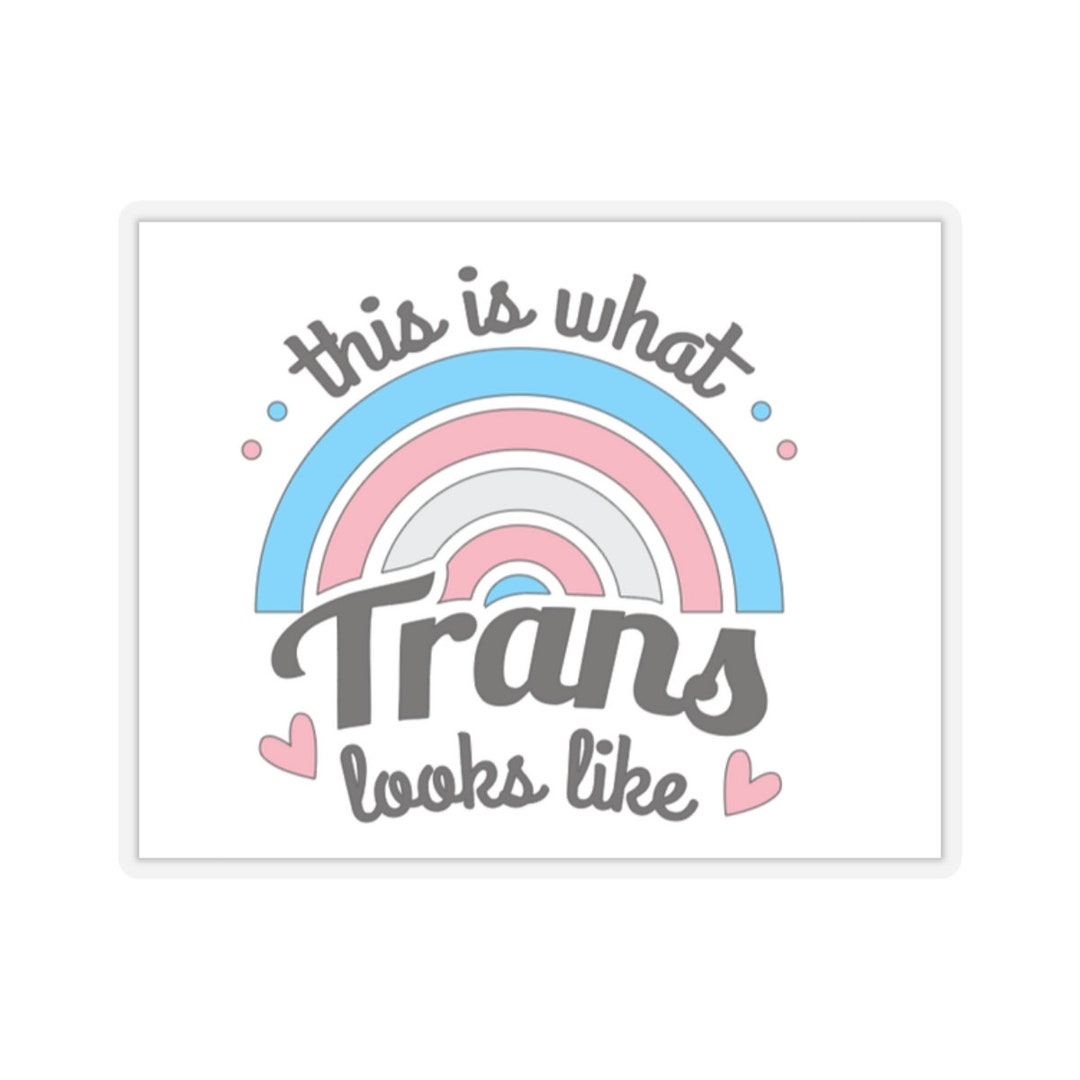This is What Trans Looks Like Trans Flag Sticker - Etsy
