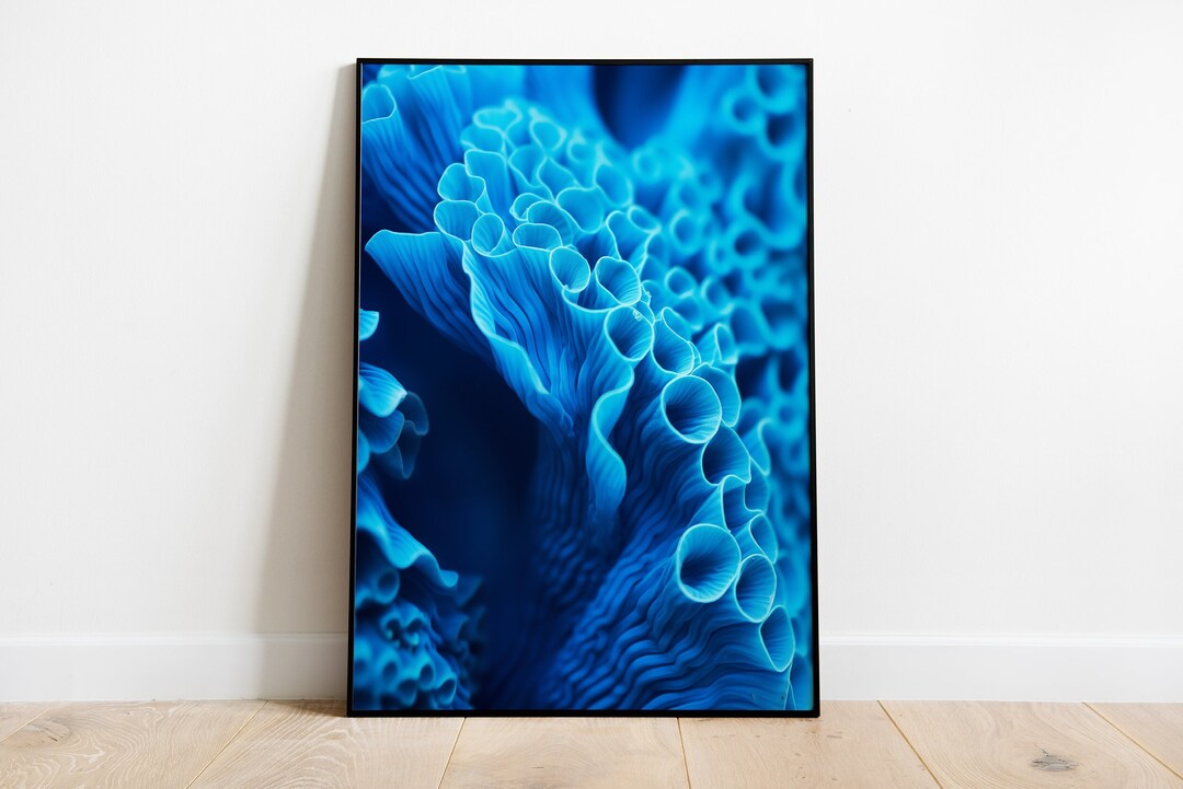 Blue Coral Poster, Ocean Reef Nature Photography HD Print, Beautiful ...