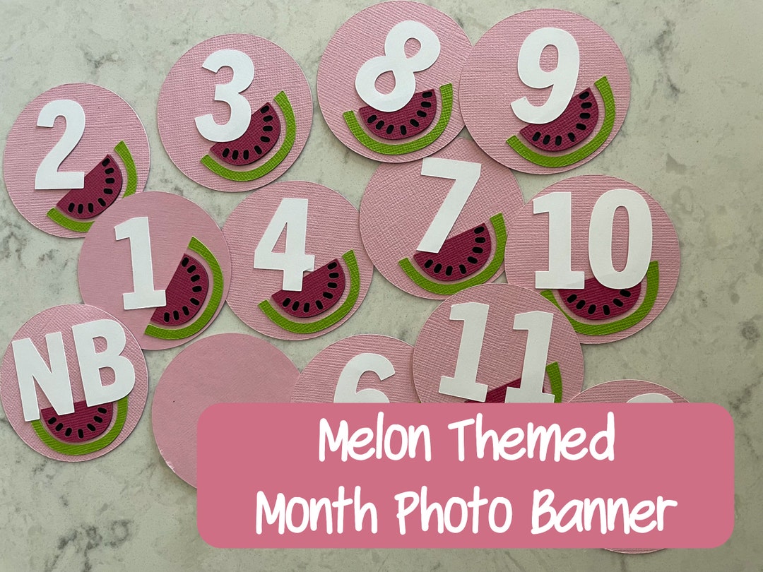 Watermelon Themed Month Photo Banner, One in a Melon First Birthday ...