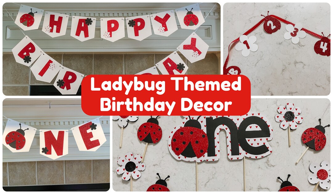Ladybug Themed Birthday Decor, Our Little Lady Birthday Decorations ...