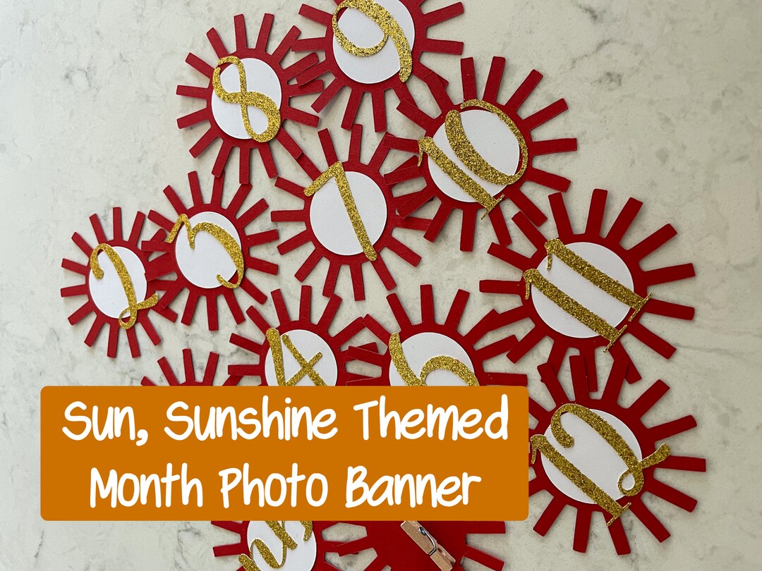 Sun Themed Month Photo Banner, Our Little Sunshine Birthday Decor, Sun ...