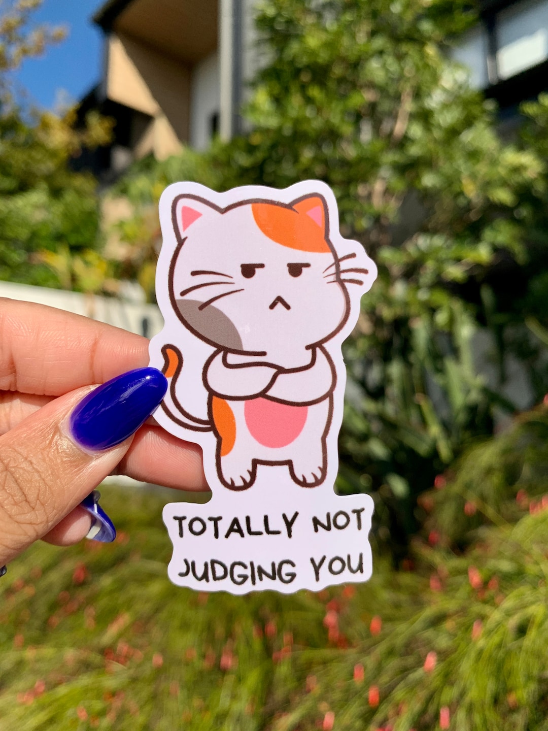 Totally Not Judging You Vinyl Sticker | Cute Cat Sticker | Funny Cat ...