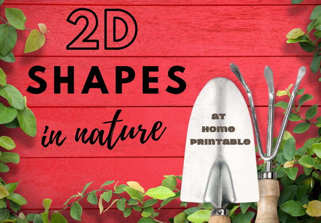 2D Shapes in Nature 8x10's and Flashcards - Etsy