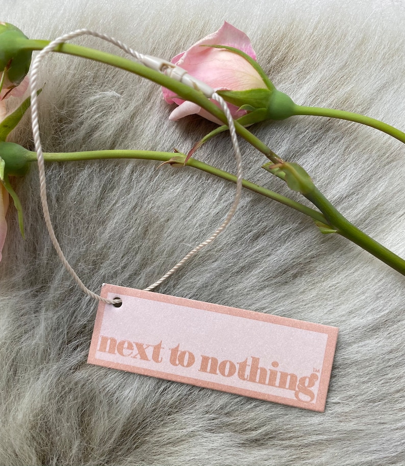 Next to Nothing LA Champagne Dreams Mesh Brief - Etsy