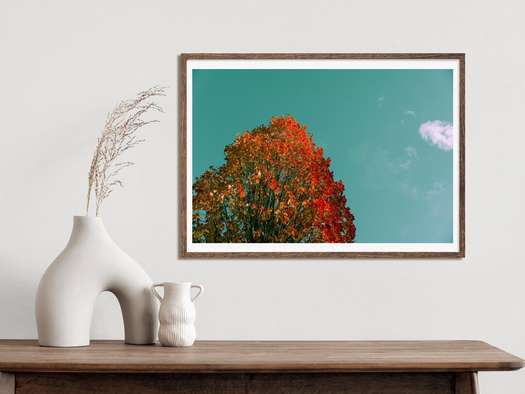 Maple Tree Print, Fall Photo Printable, Teal Sky Print, Nature Digital ...