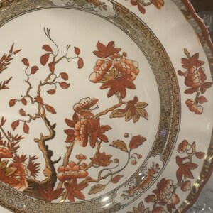 One Spode India Tree Luncheon Plate 8 7/8" | Excellent Condition | Old ...