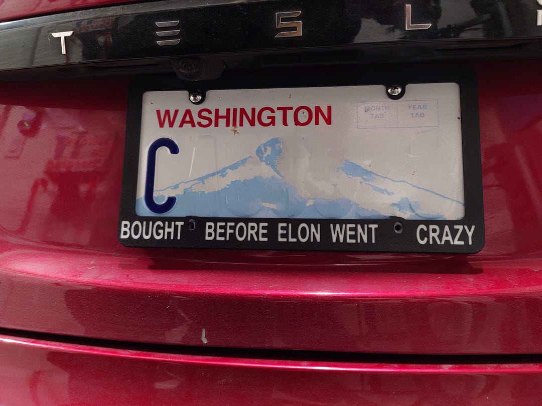 Elon Crazy License Plate Frame / Holder ASA - Etsy