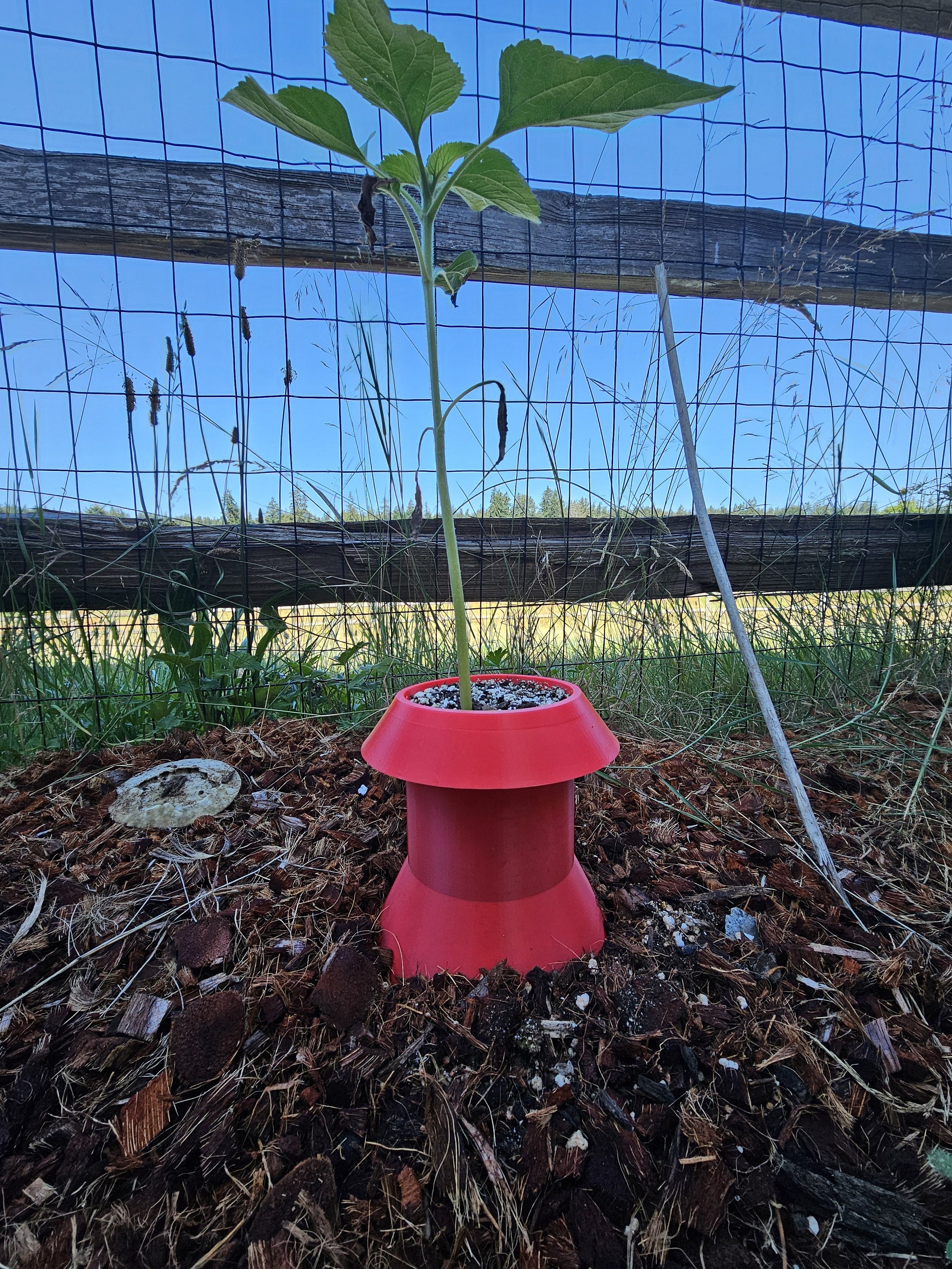 Slug and Snail Barrier for Individual Plant. 4 Inches Diameter, 6 ...