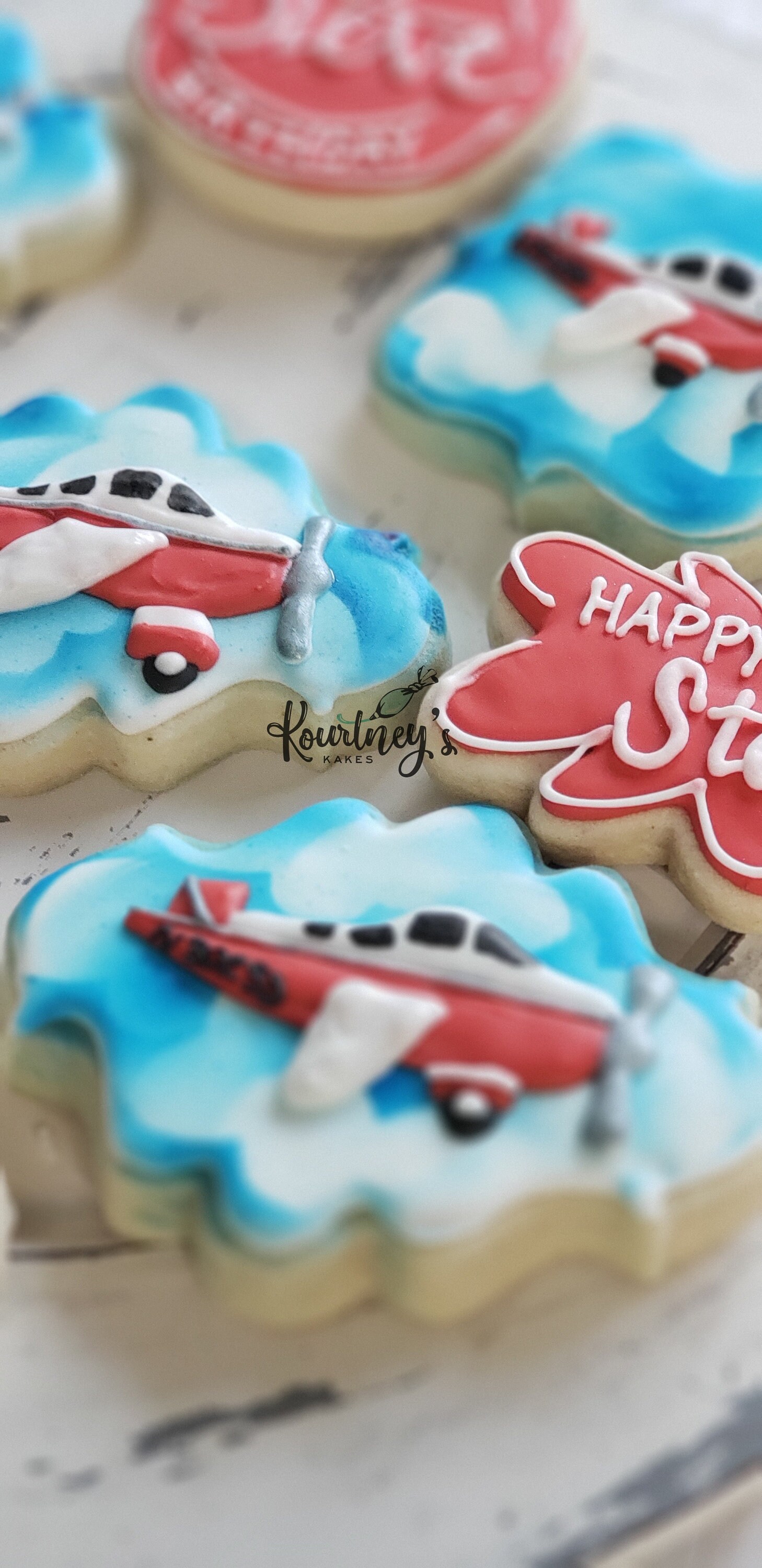 Airplane Cookies (12) - Etsy