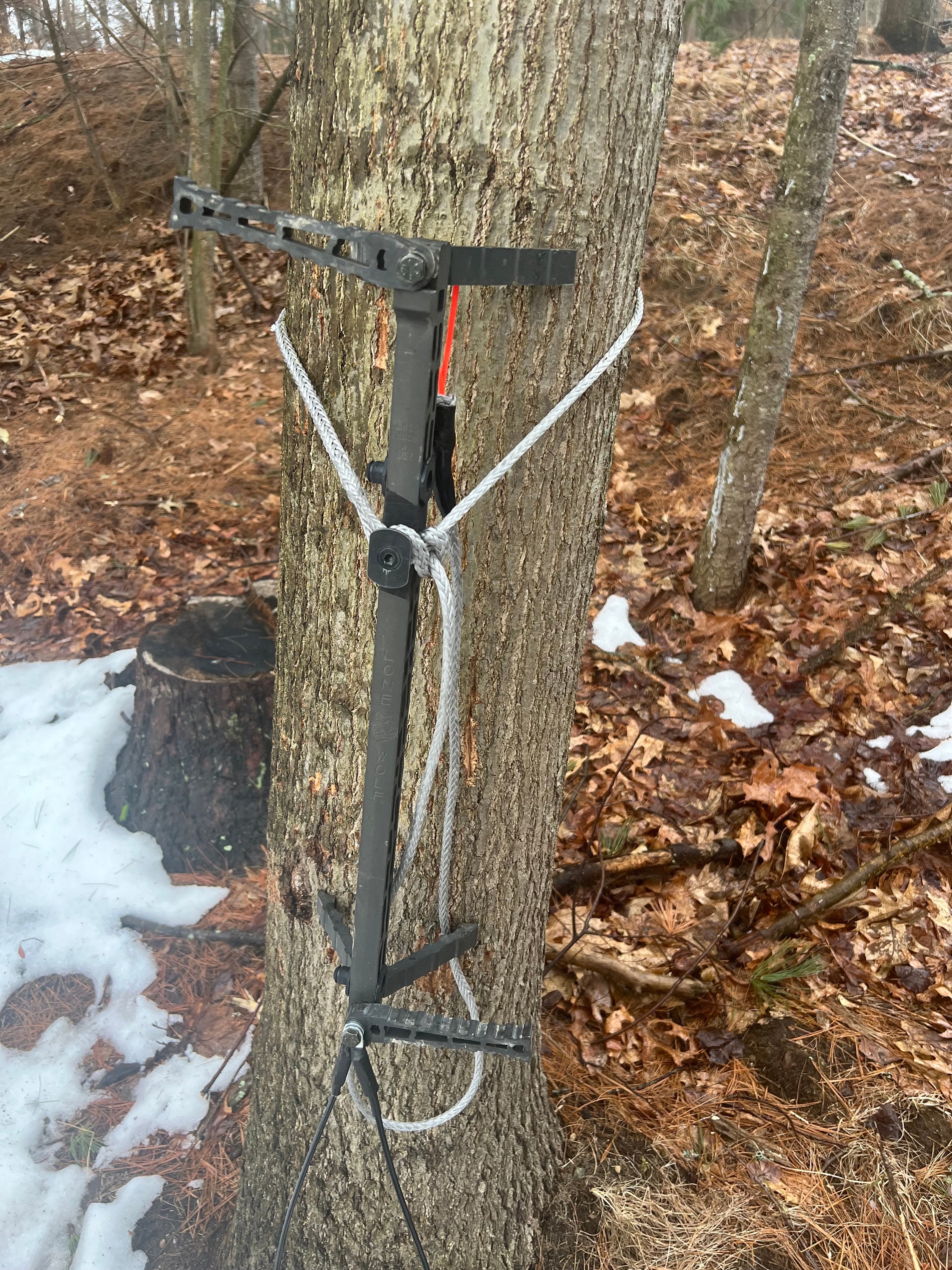 Amsteel Rope Mods - Etsy