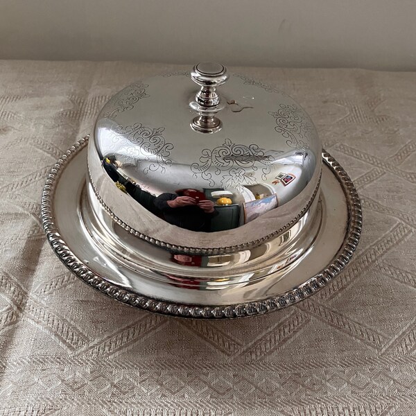 Plate and Cloche - Etsy