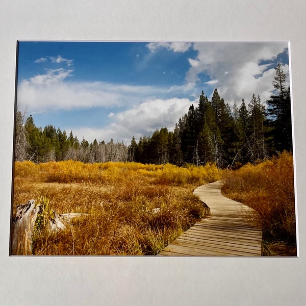 Path Less Traveled - Etsy