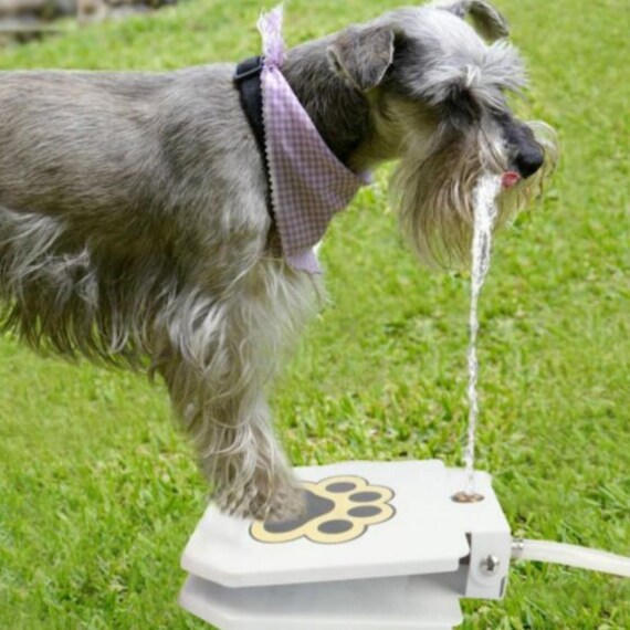 Automatic Outdoor Dog Water Fountain Dog Drinking Water Fountain Step On Easy Paw Activated Drinking Pet Dispenser Provides Fresh Water Etsy UK