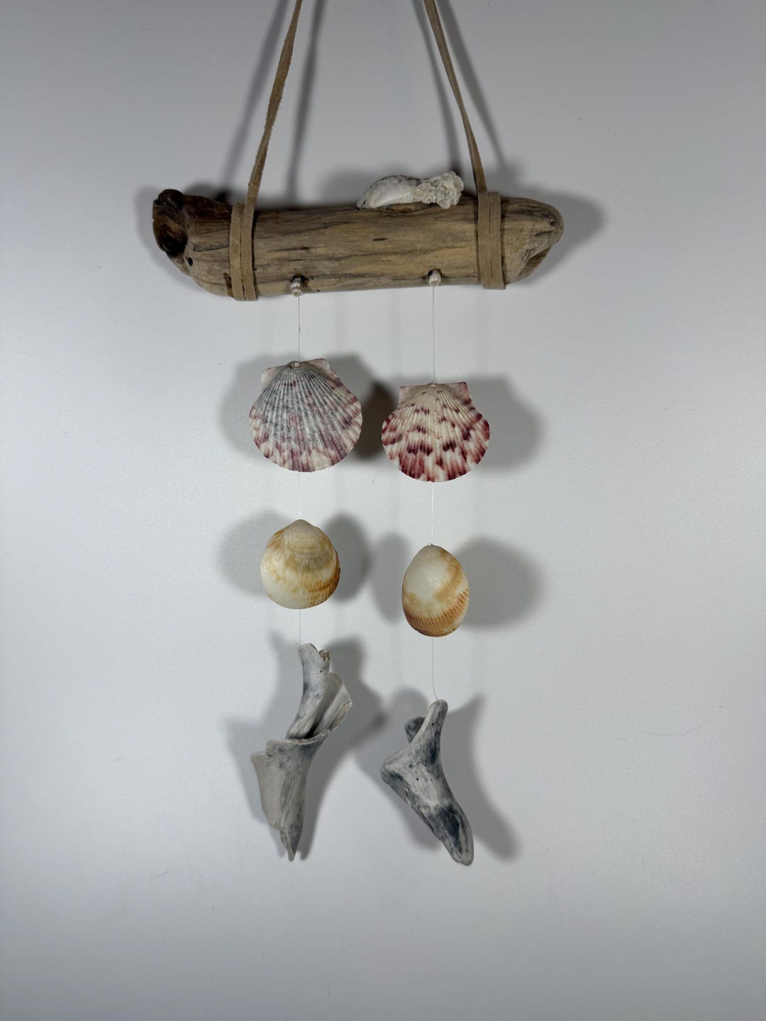 Shell Hanger. Sea Shell Home Decor. Natural Elements. Ocean Life - Etsy