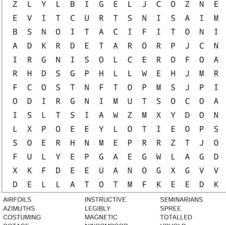 Wacky Word Search’s - Etsy