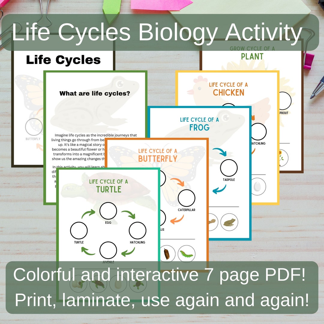 Life Cycle Biology Activity Instant Digital Download Printable PDF ...
