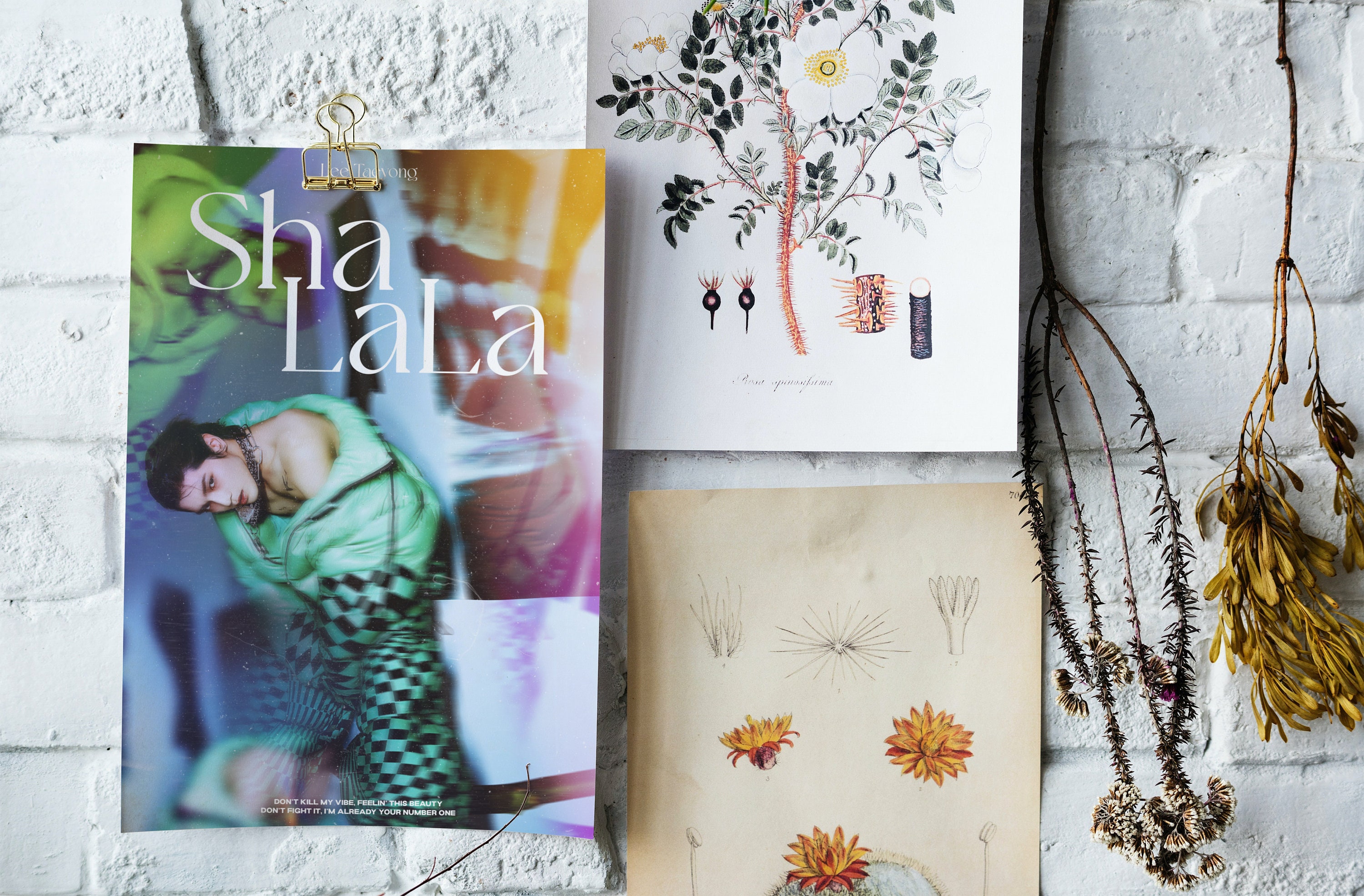 Taeyong - Shalala Poster, NCT Poster, Minimalist Music Poster, Digital ...