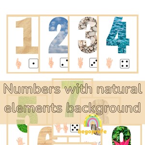 Numbers With Natural Elements Background Circle Time - Etsy