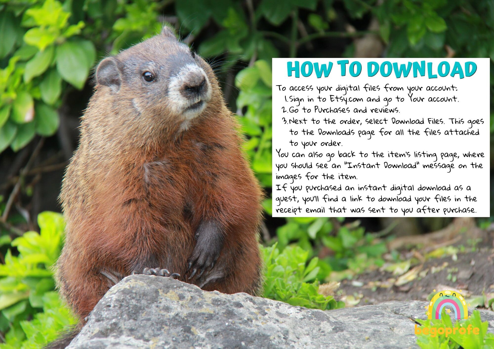 Groundhog Day Number Puzzle, Printable Activities for Kindergarten ...