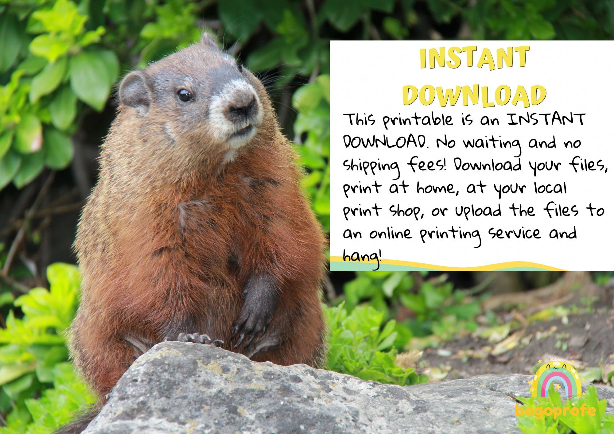 Groundhog Day Number Puzzle, Printable Activities for Kindergarten ...