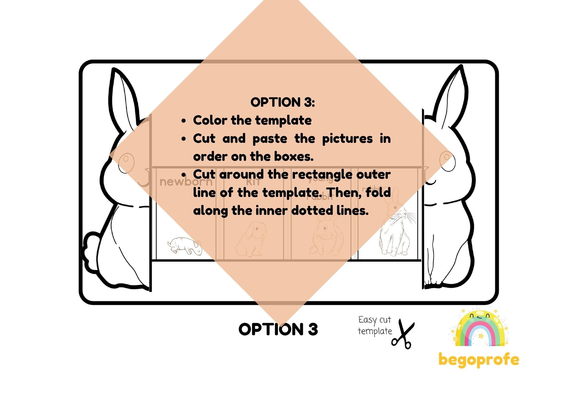 Life Cycle of a Rabbit Craft for Preschool, Hands on Fun Learning for ...