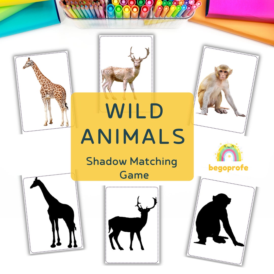 Wild Animals Theme Shadow Matching Game for Kids, Vocabulary Printable ...
