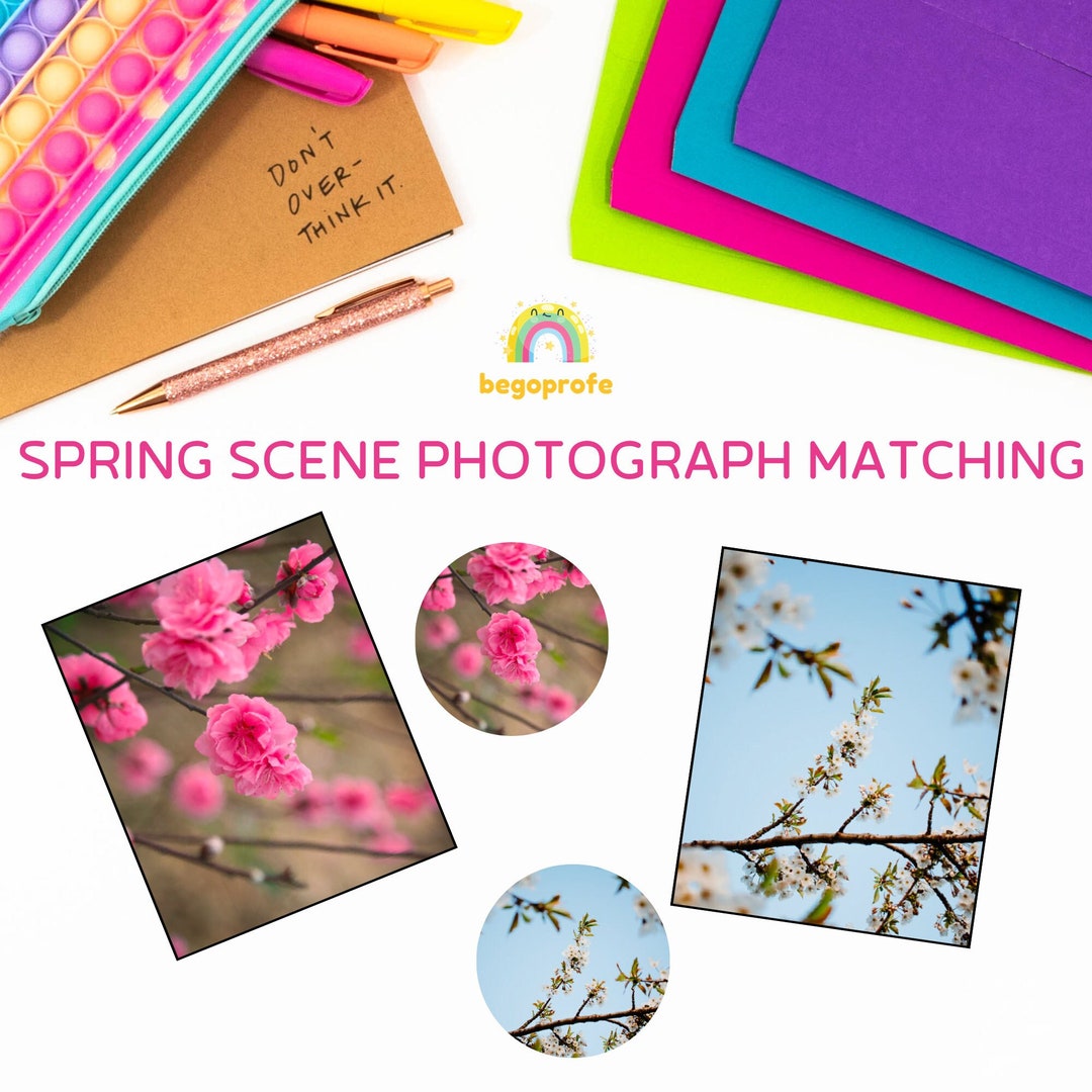 Montessori Spring Activities, Matching Pictures, Spring Bloom Printable ...