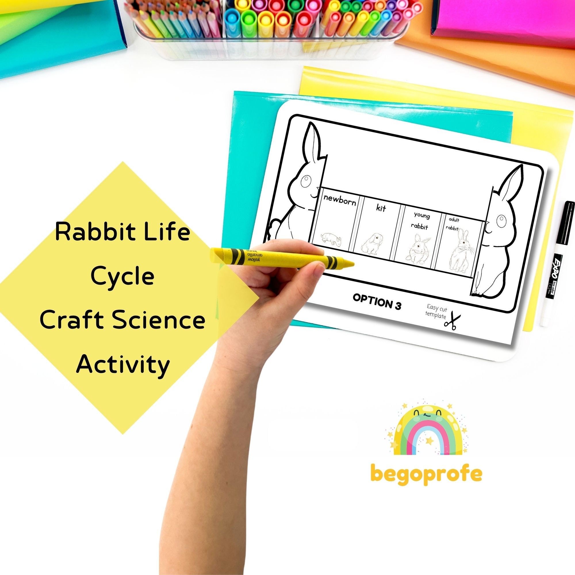 Life Cycle of a Rabbit Craft for Preschool, Hands on Fun Learning for ...