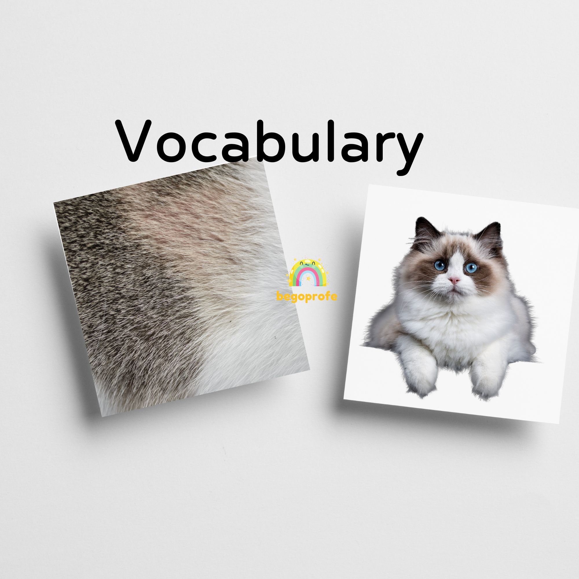 Animals Skins Printable Memory Game, Vocabulary Cards for Children ...