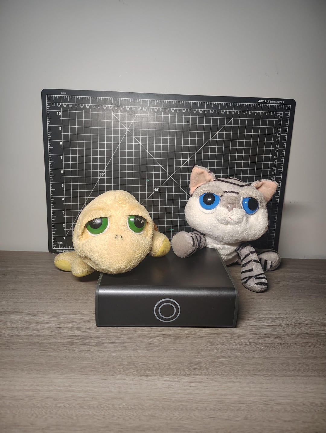 RUSS Berries PEPPER & SHELLY - Tabby Gray White Cat Turtle Shell ...