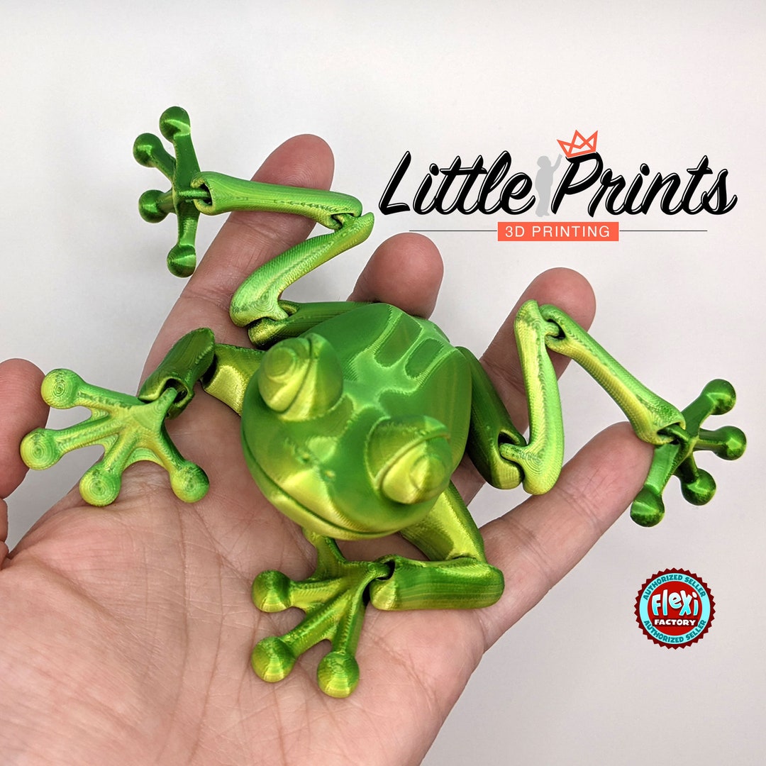 Flexi Frog Fidget Toy: Your Sensory Companion for Enchanting - Etsy Canada