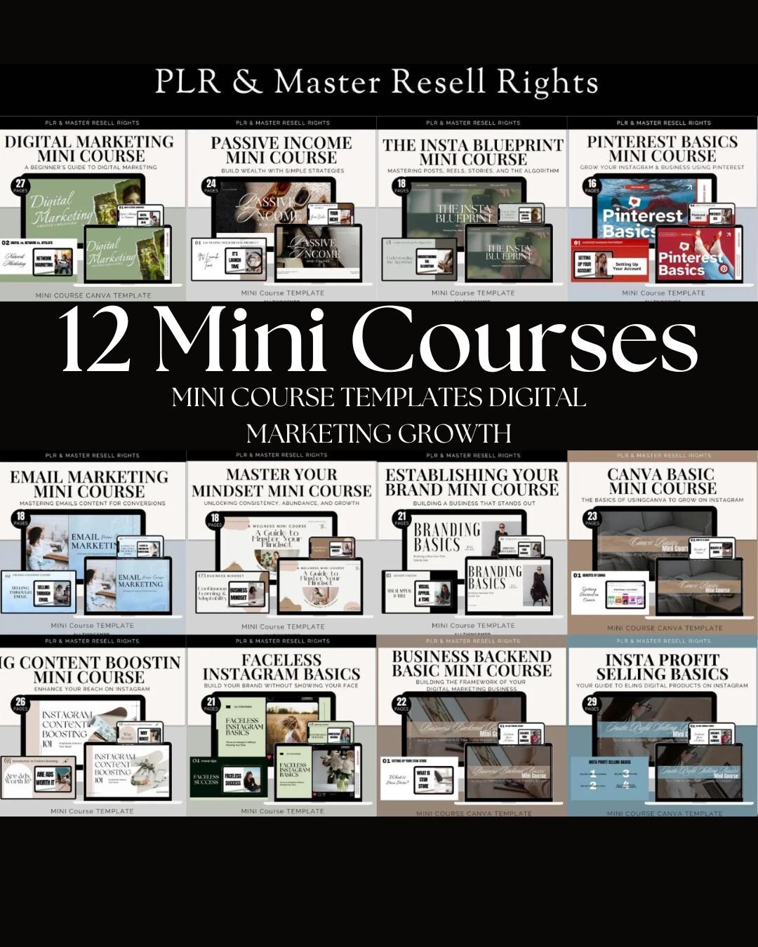 12 Mini Digital Marketing Course Bundle, Audio Courses Resell Rights ...