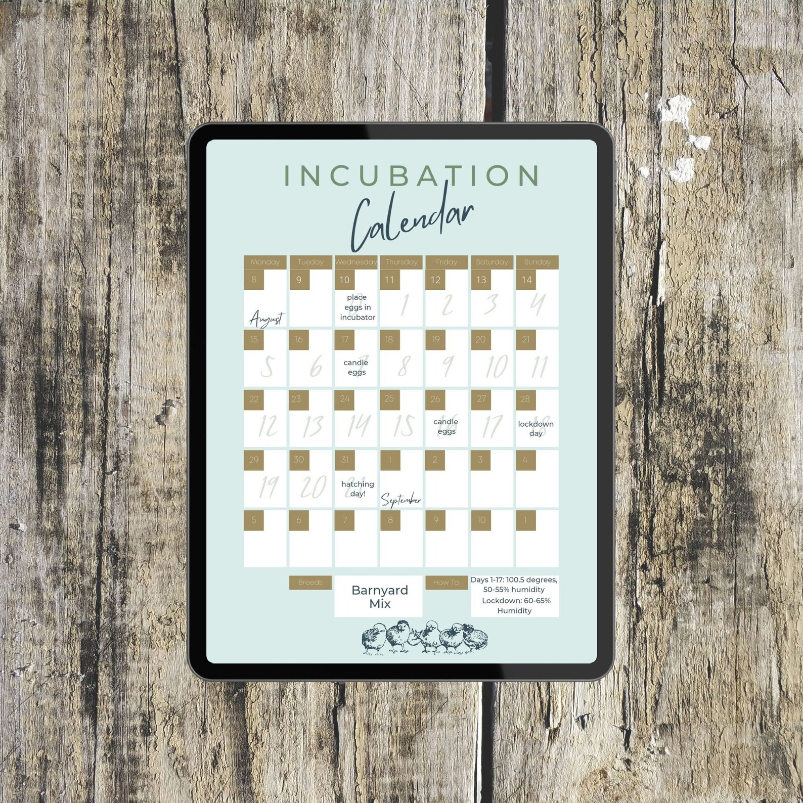 Chicken Incubation Calendar Template: Customizable Canva Planner ...