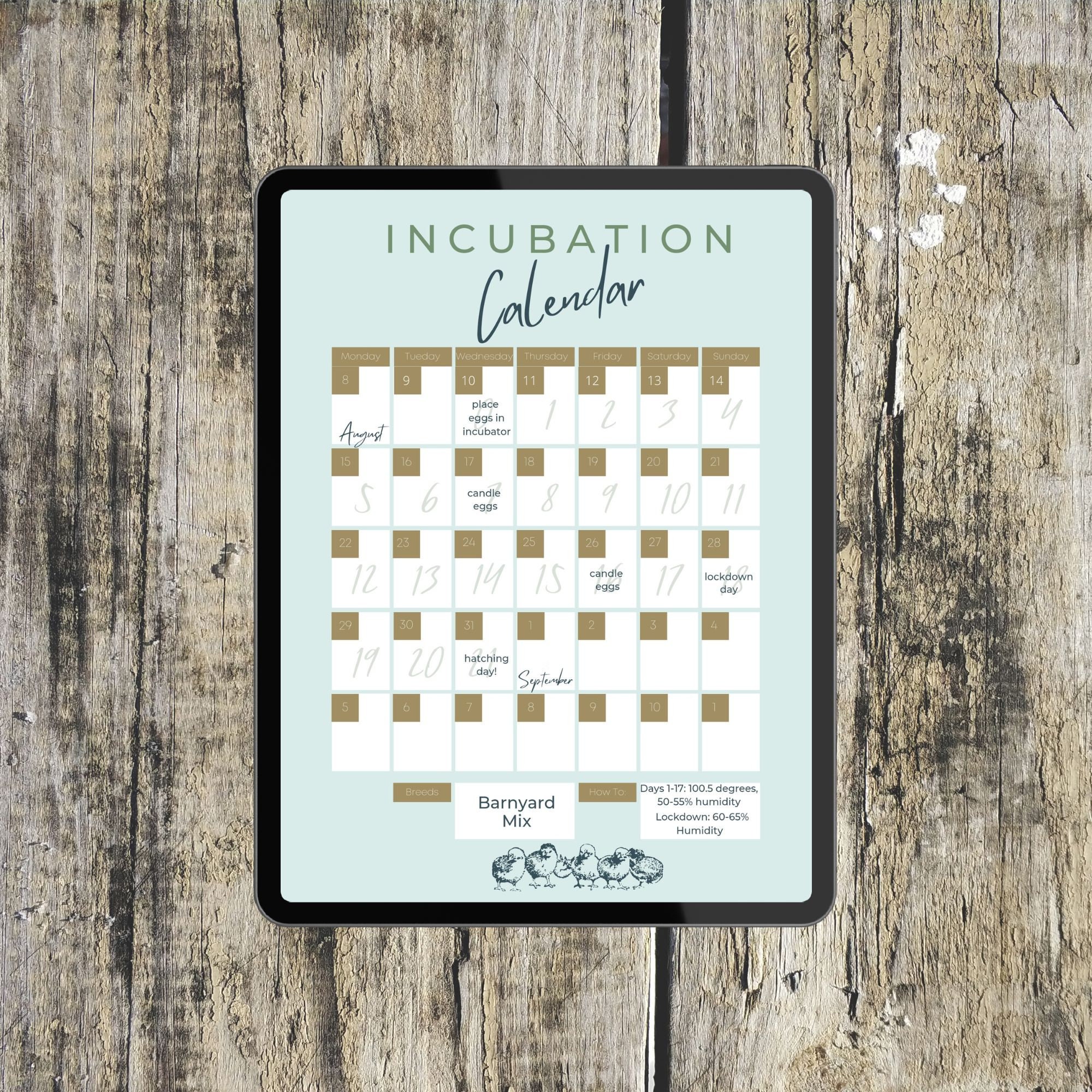 Chicken Egg Incubation Tracker Bundle: Canva Template (digital Download ...