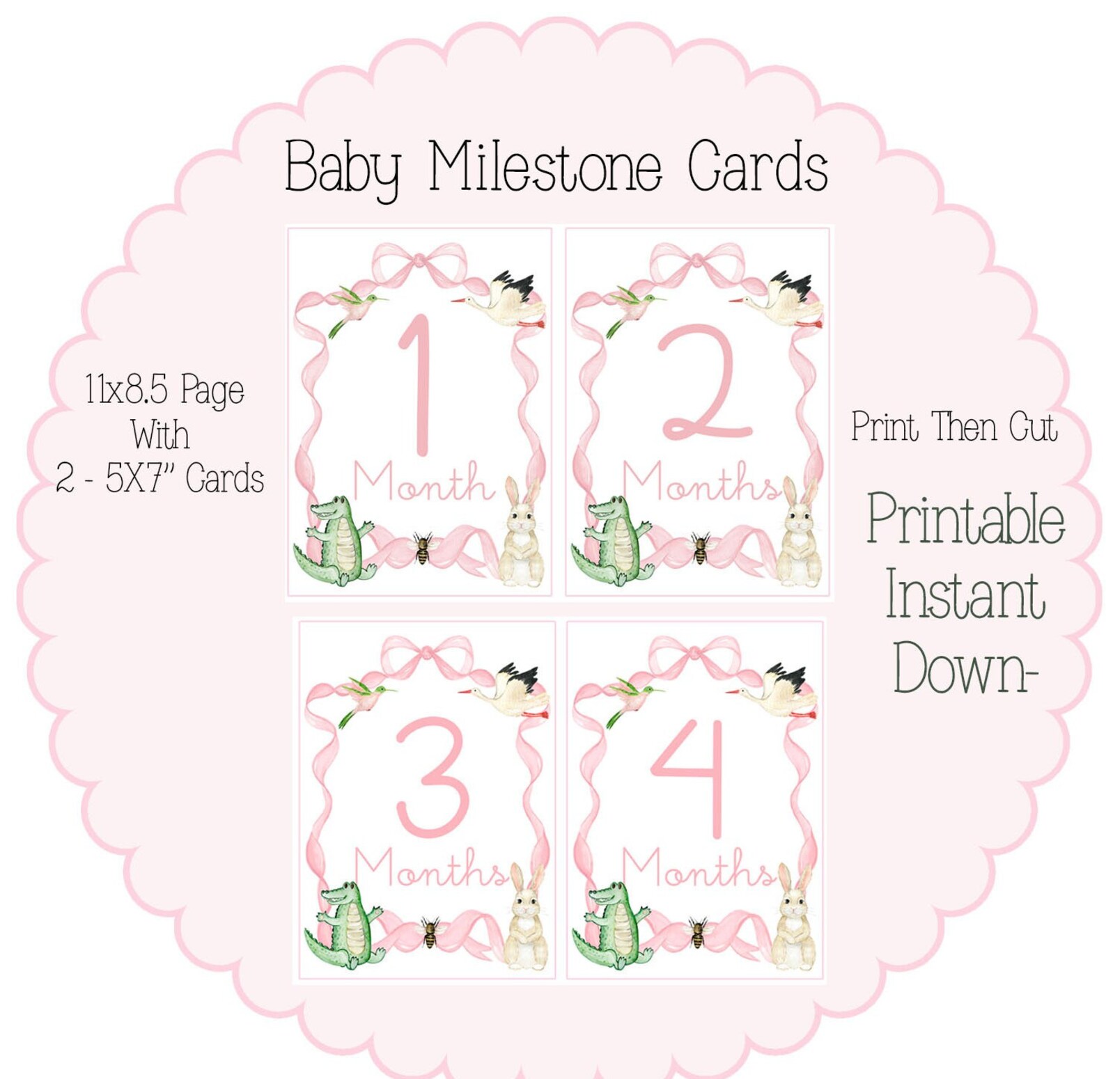 Printable Milestone Cards, Girl Milestone Cards, Pink Milestone Cards ...