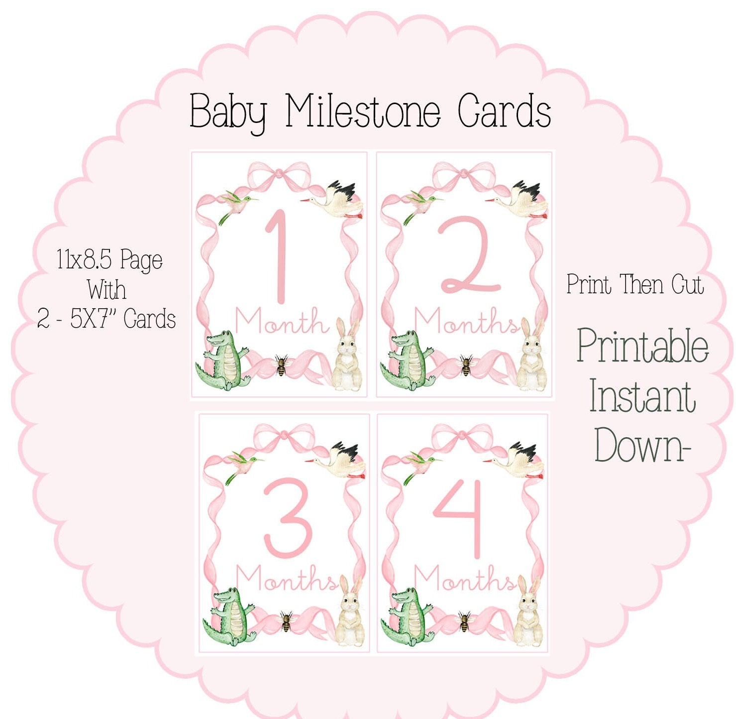 Printable Milestone Cards Girl Milestone Cards Pink - Etsy