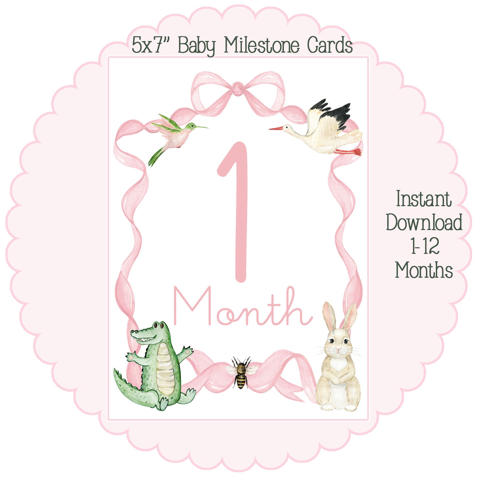 Printable Milestone Cards, Girl Milestone Cards, Pink Milestone Cards ...
