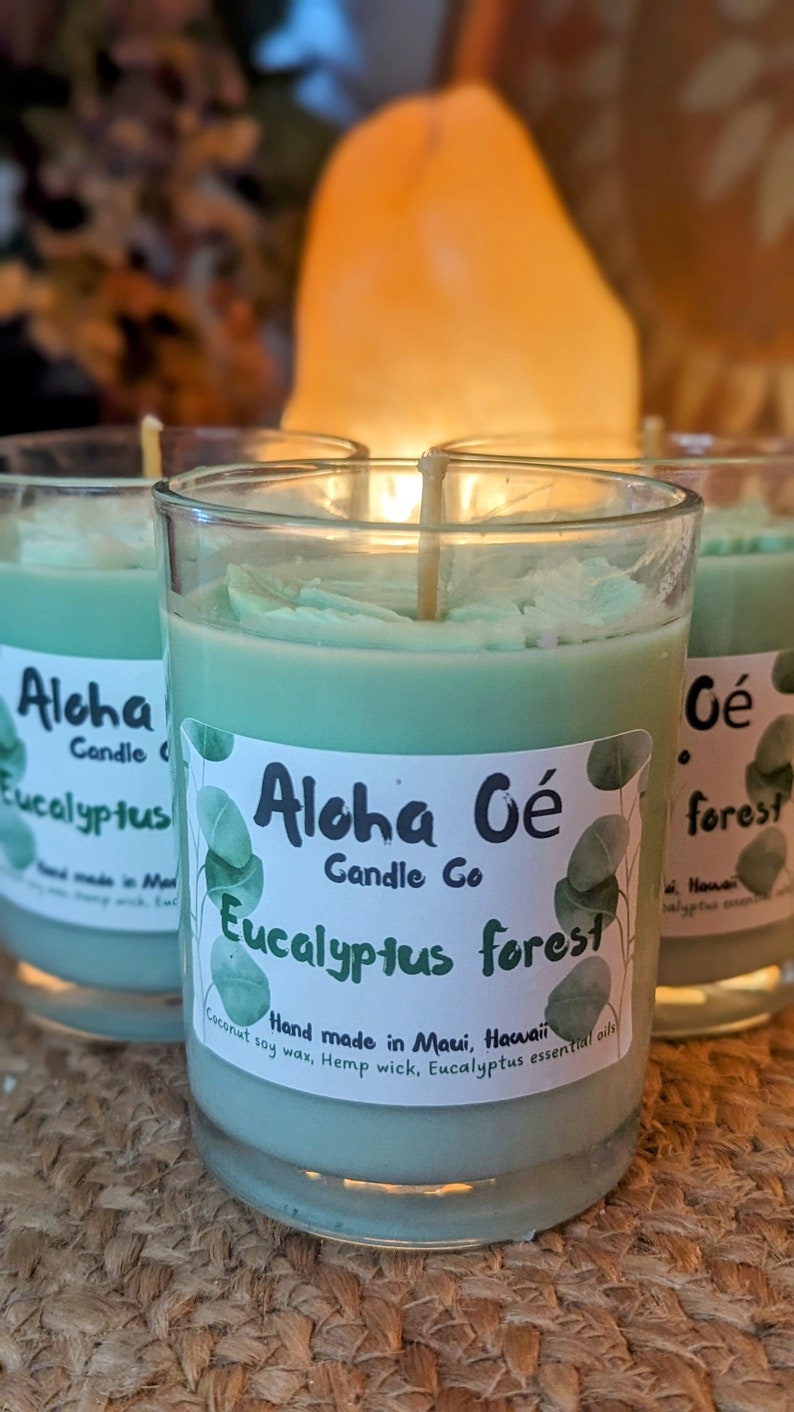 Maui Eucalyptus Forest Candle: Coconut Wax, Hemp Wick, Handmade - Etsy