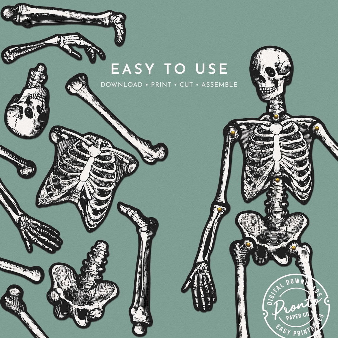 Printable Skeleton Vintage Halloween Digital Download Easy - Etsy